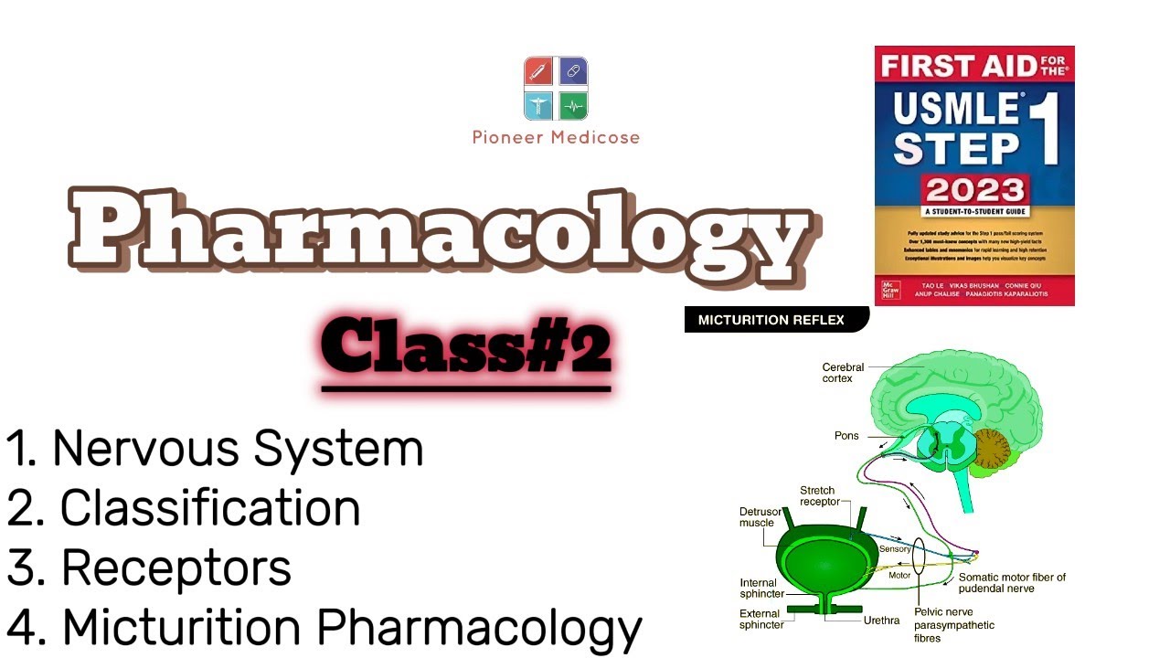 USMLE STEP 1: General Pharmacology class#2 ANS Pharmacology ...