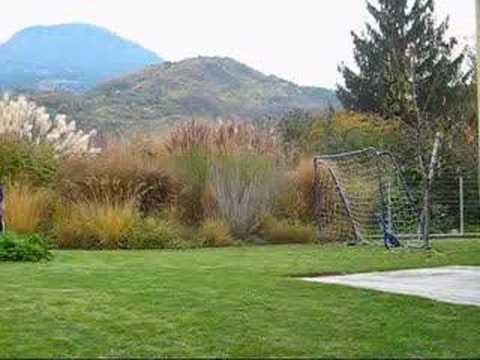 Manuel Schöpf Flankentraining - YouTube