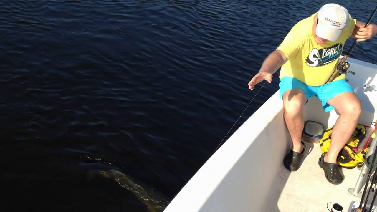 Jumping Gar Fight - YouTube