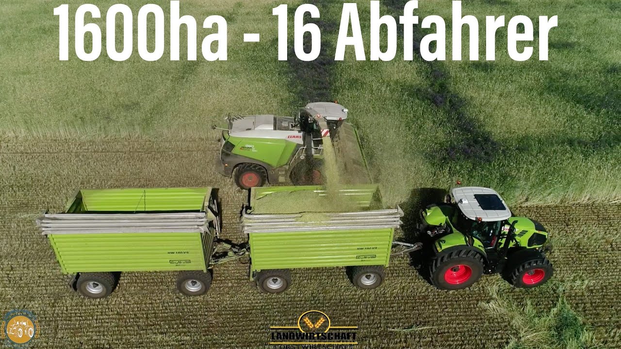 1600ha Wickroggen m. PAE Marktfrucht! Biomasse häckseln für die ...