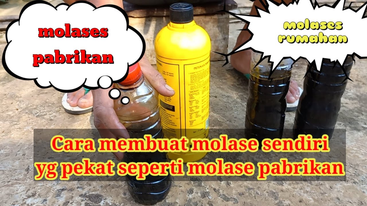 Cara membuat molase sendiri yang pekat seperti molase pabrikan || make ...