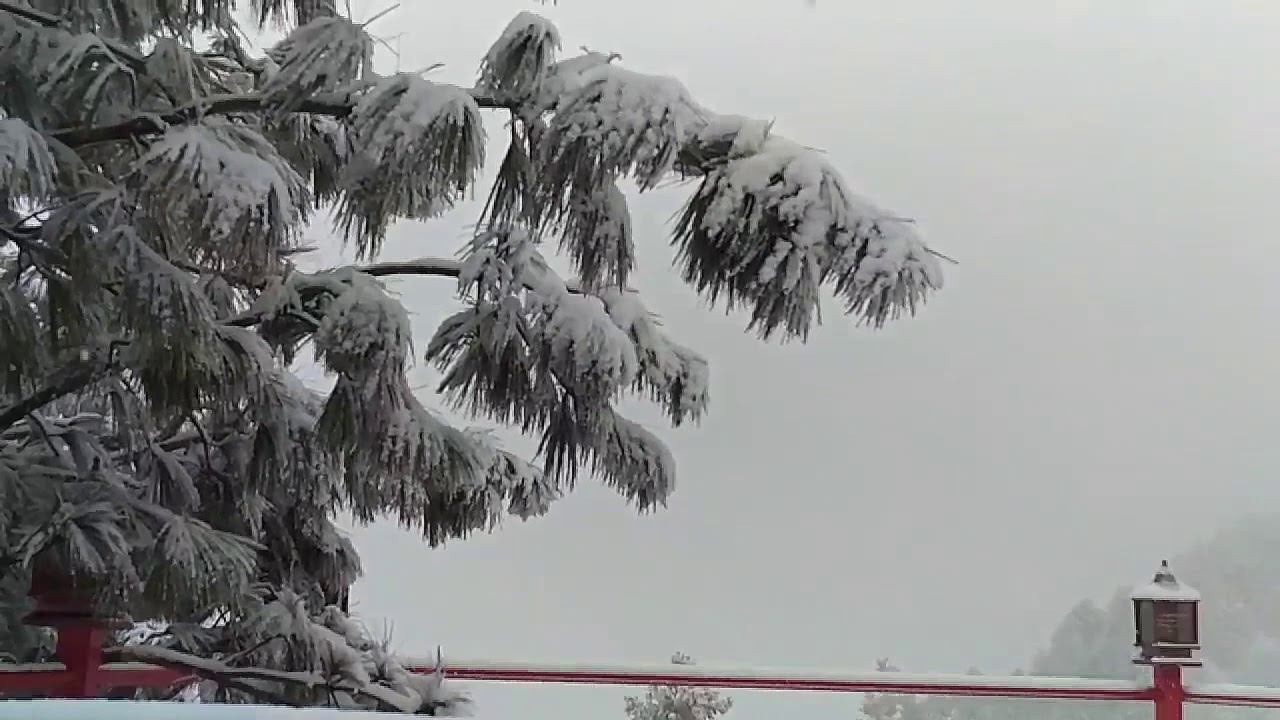 Snowfall at Shangla top - YouTube
