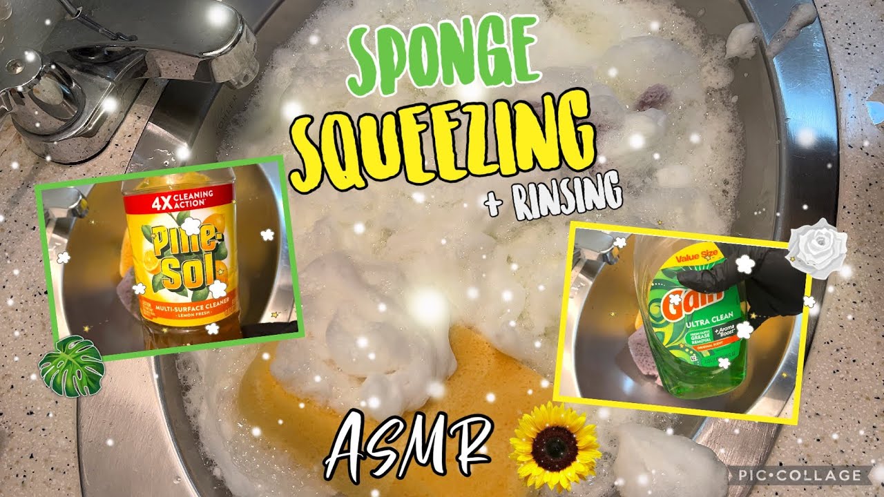 💚 ASMRSUDS20 💚SPONGE SQUEEZES WITH GAIN AND PINESOL THE SMELL 😩 - YouTube