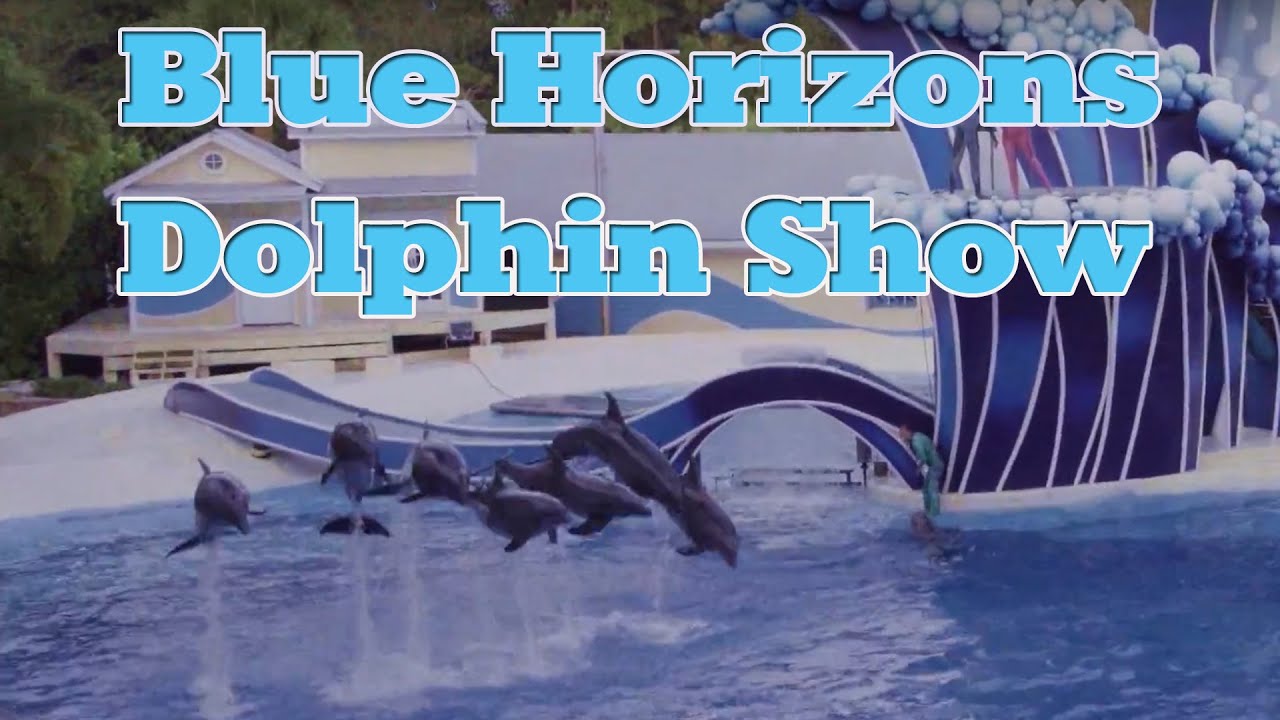 The Blue Horizons Seaworld Dolphins Show 2016 in Orlando Florida - YouTube