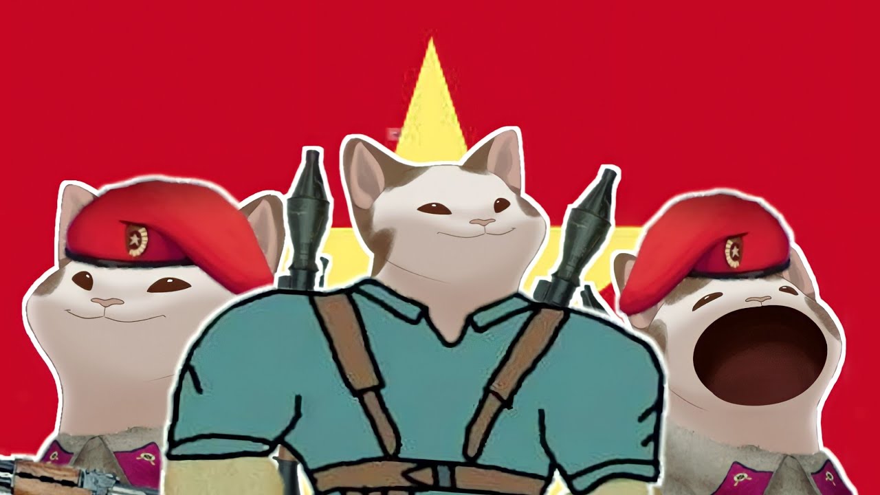 A Normal Day on CATLAND - YouTube