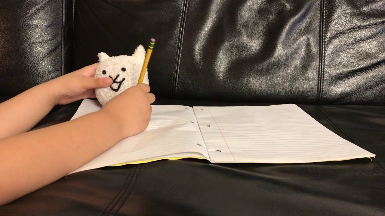 Cat Studies - YouTube