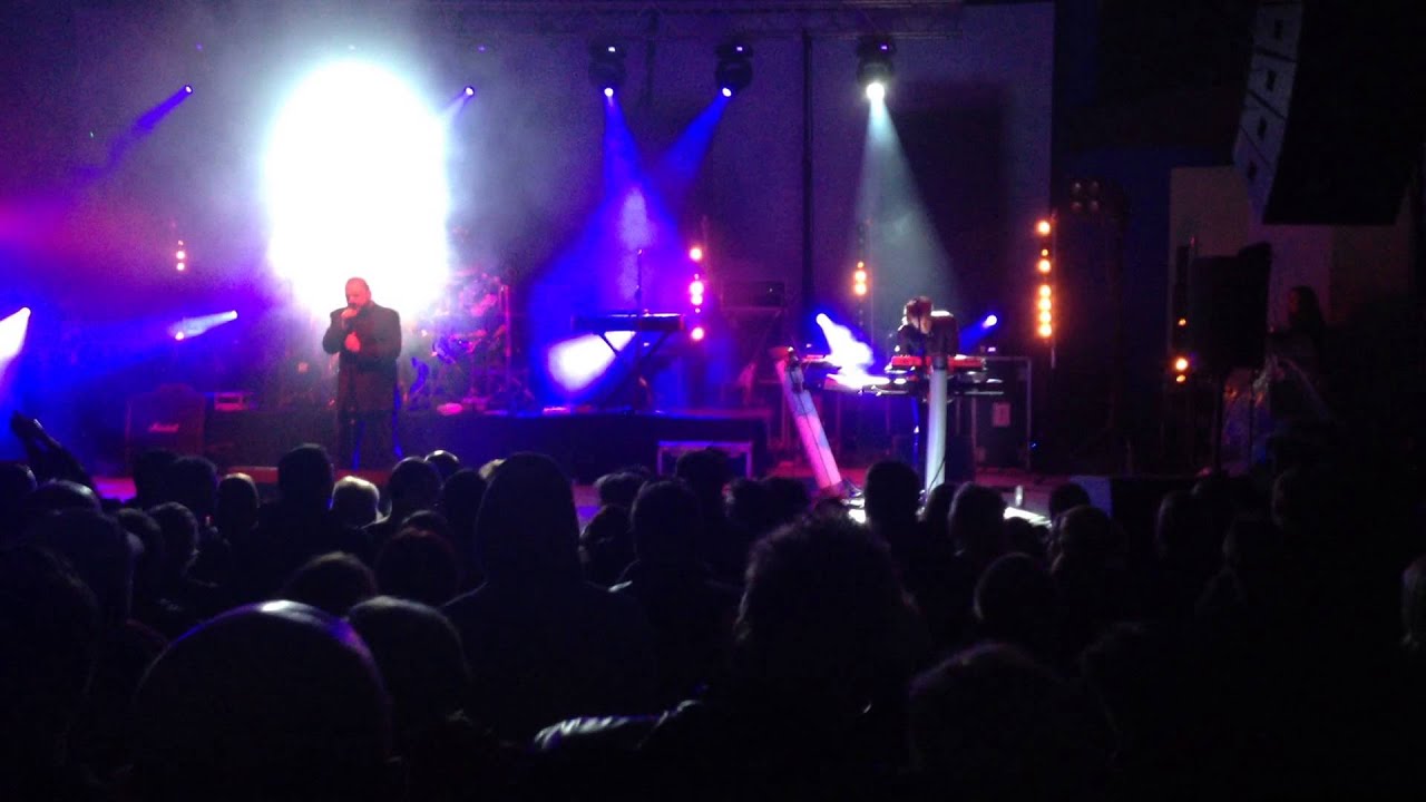 TRIBUTE MARTIN LISTER ALPHAVILLE CHODZIEŻ POLAND FIRST MONDAY IN THE ...