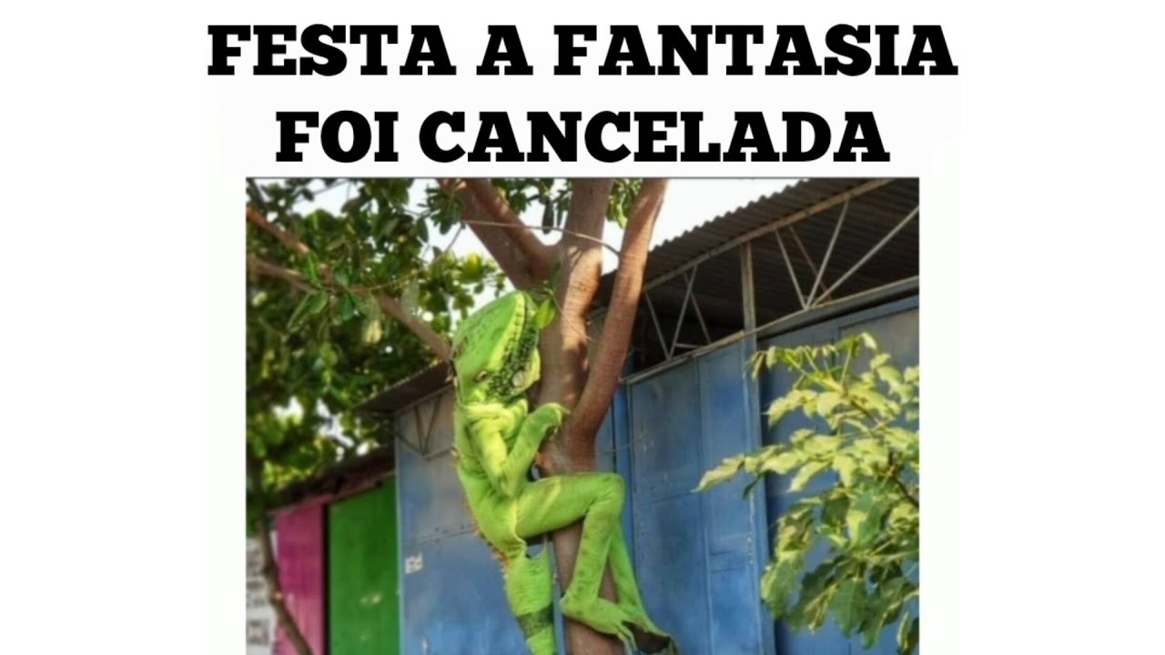 MELHORES MEMES EM IMAGENS - A FESTA A FANTASIA FOI CANCELADA - YouTube