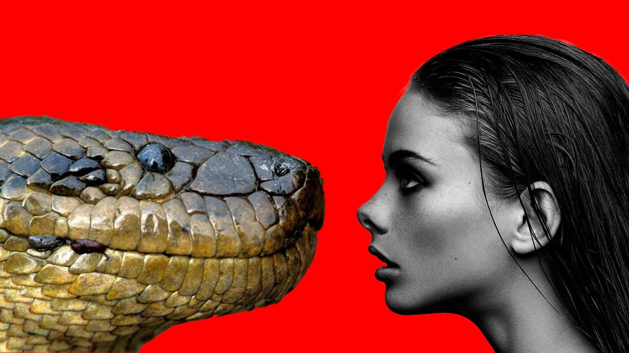 АНАКОНДА САМАЯ БОЛЬШАЯ ЗМЕЯ В МИРЕ - YouTube