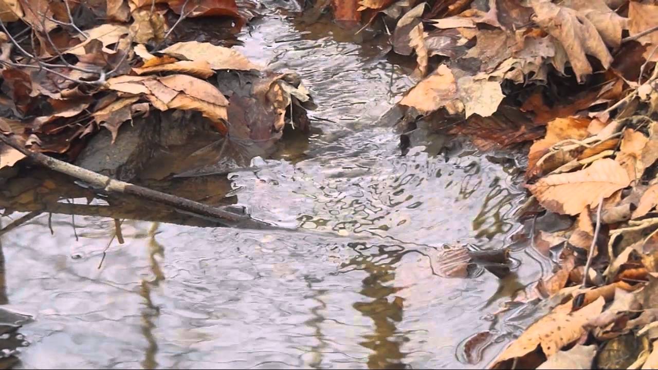 Fujifilm Finepix S8600 Video and Photo Quality Test - YouTube