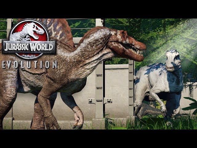 Carnivorous Animals Ency123 YouTube