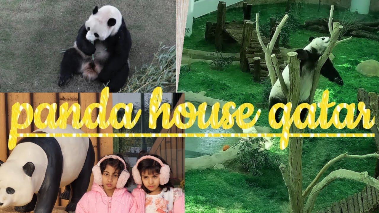 PANDA HOUSE DOHA#ALKHORPARK#2025 - YouTube