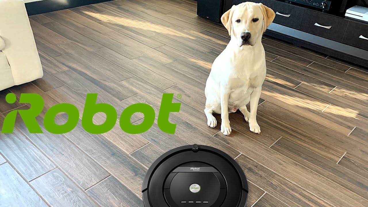 LABRADOR PUPPY VS. THE ROOMBA!! - YouTube