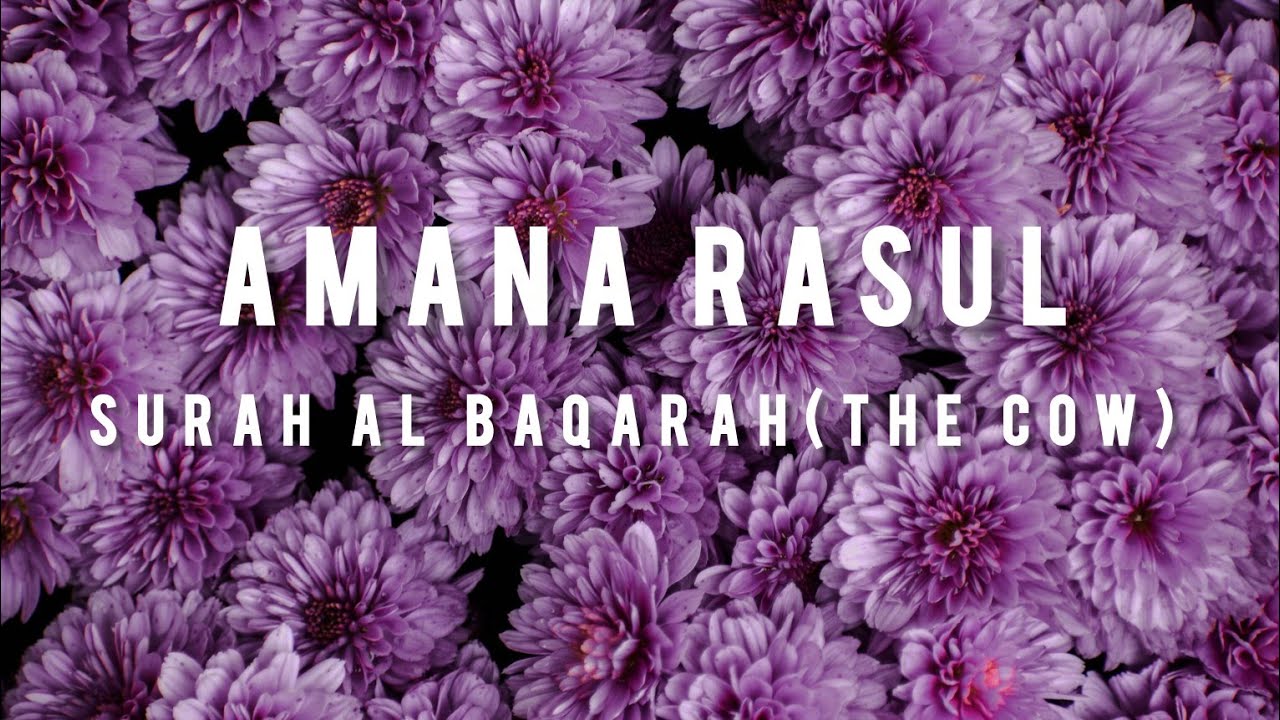 Amana Rasul | Al baqarah |Amna Fathima #surahbakarah #quranrecitation ...
