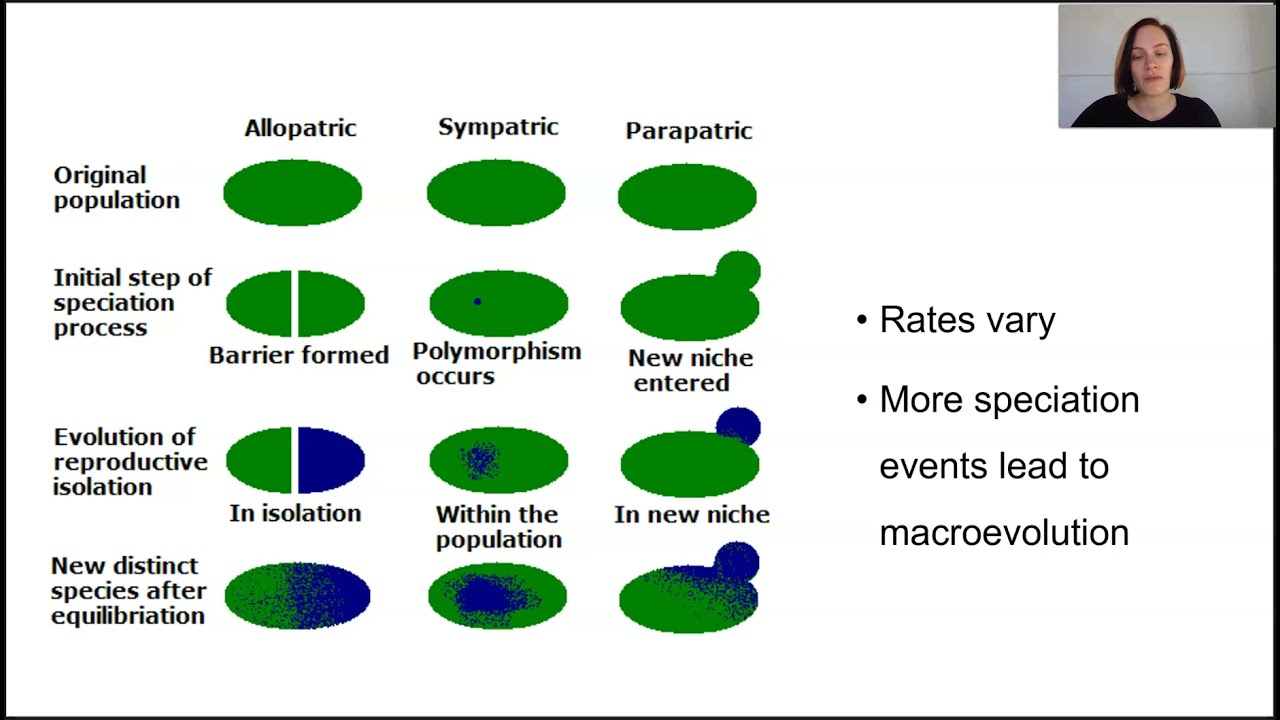 Speciation and macroevolution (Part 2) - YouTube