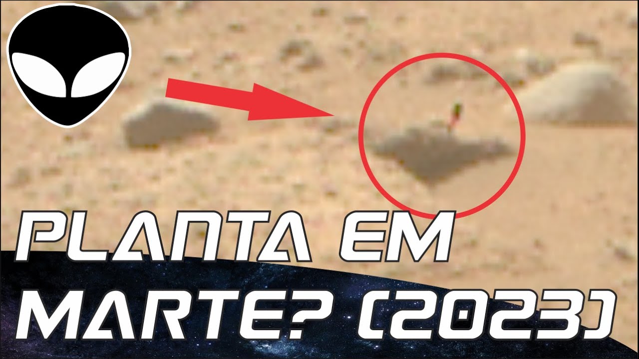 Planta em Marte? - YouTube
