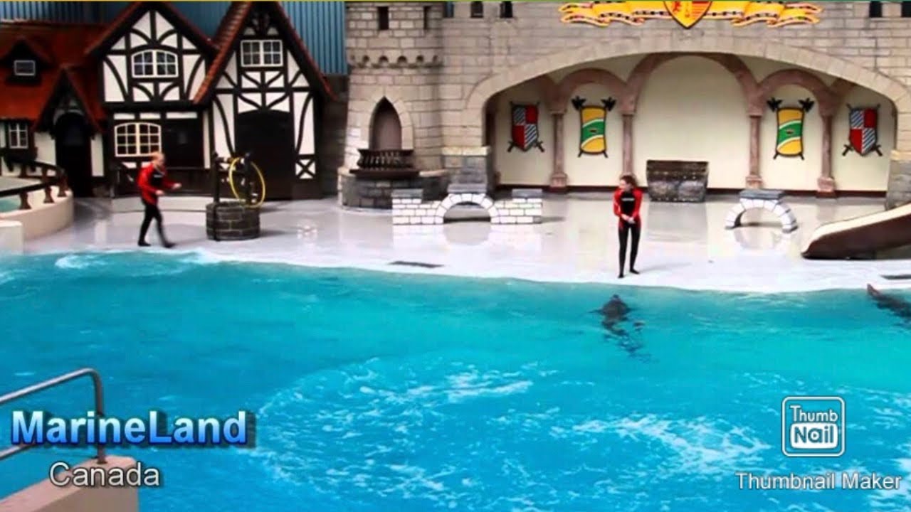 MARINELAND RIDES | ONTARIO CANADA - YouTube