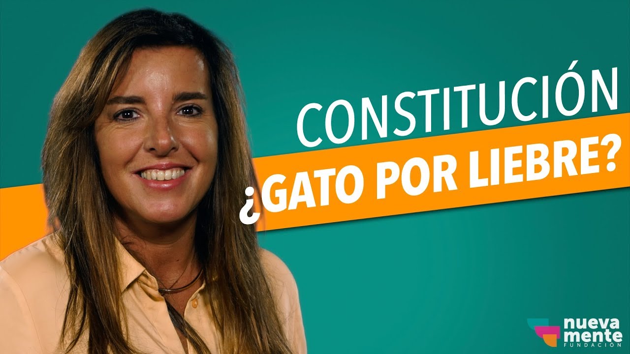 Magdalena Miller: Constitución ¿gato por liebre? - YouTube