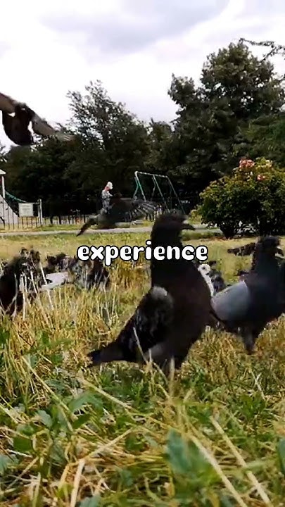 Synesthesia Unveiled: Explore the Fascinating World Where Senses Intertwine in 60 Seconds! - YouTube