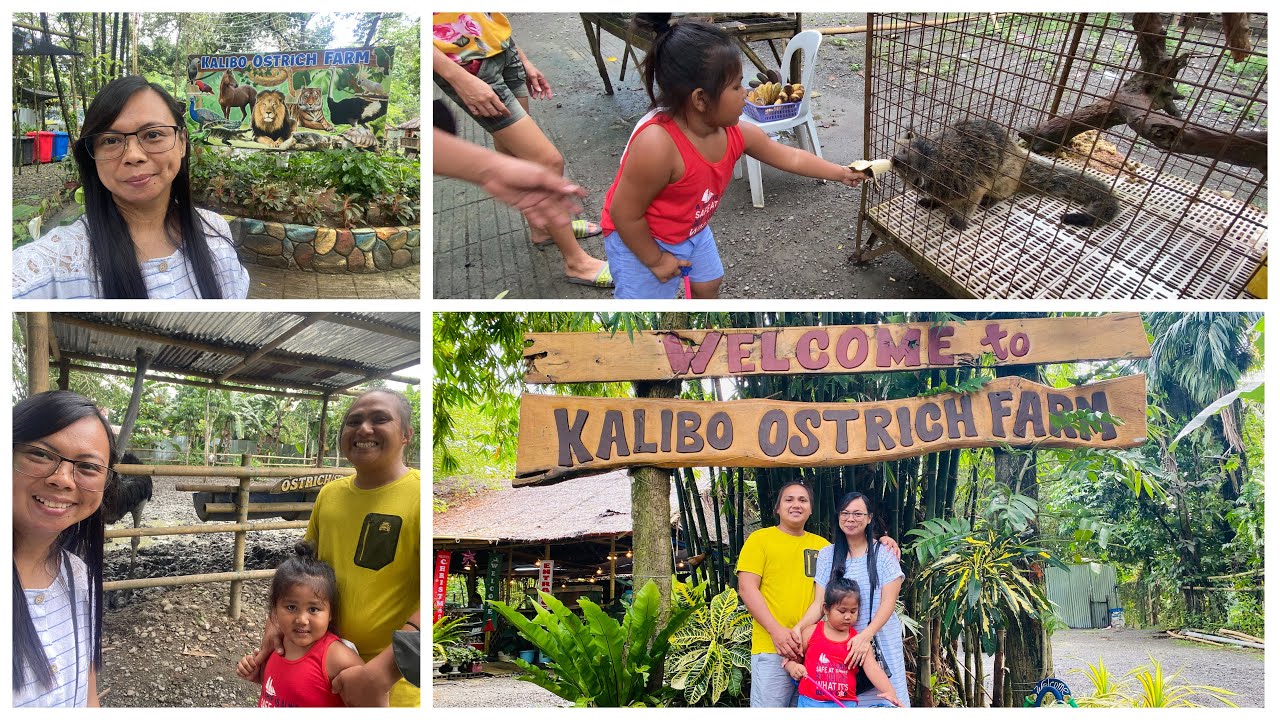 Ostrich Farm in Kalibo, Aklan || Travel with Us || AnGeLo Dizo - YouTube