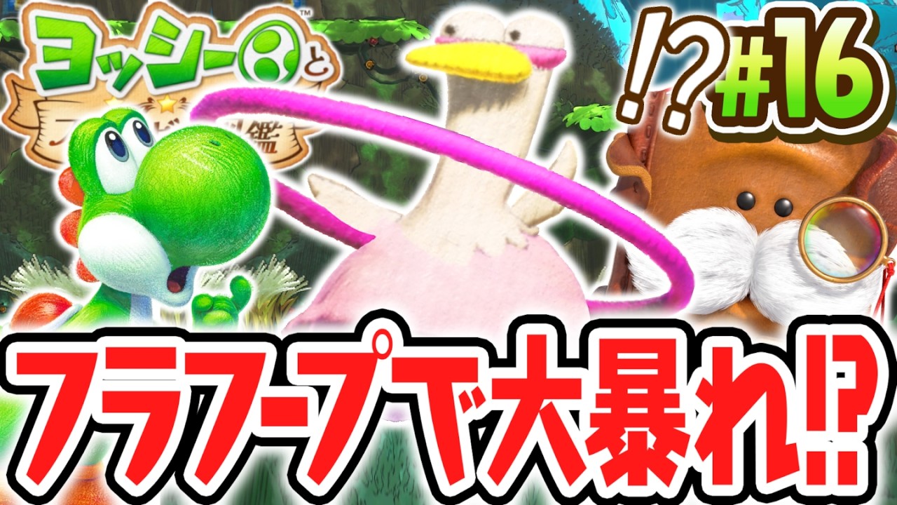 大量のフラフープで謎解き!?カッコウさんを調査せよ!!Switch2で最速実況Part16【ヨッシーとフカシギの図鑑】 - YouTube