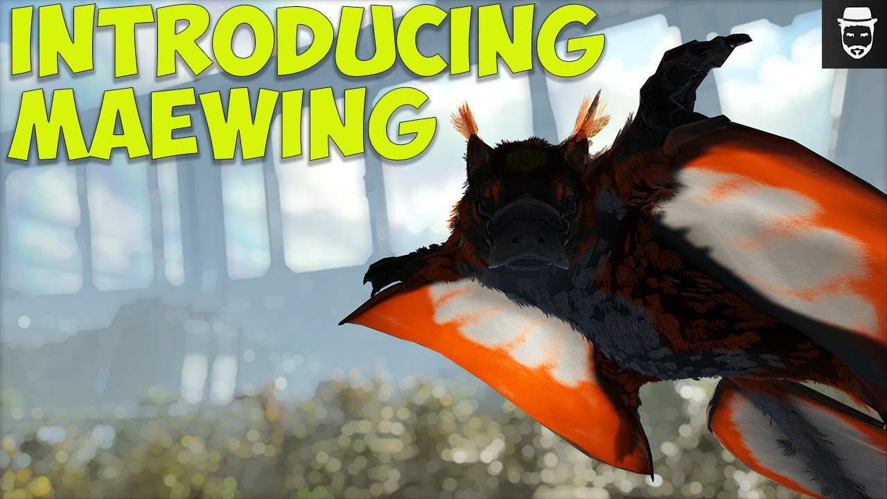 Taming a maewing and its fast! (Genesis Part 2 ) - YouTube