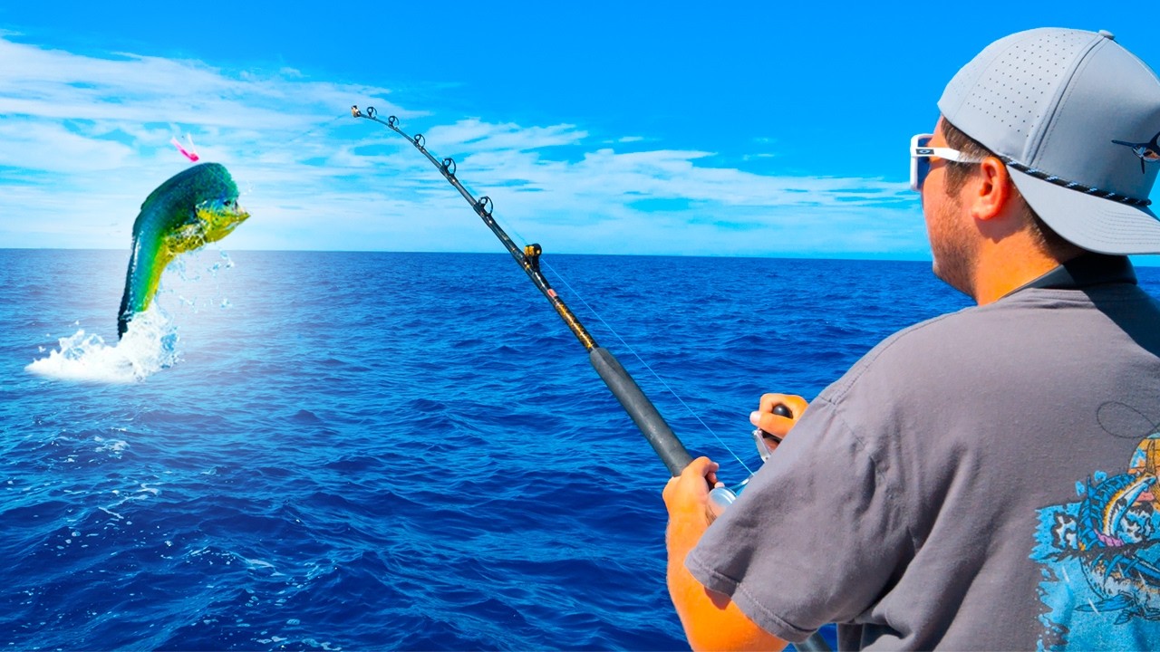 Chasing the FASTEST Growing Fish in the Ocean - YouTube