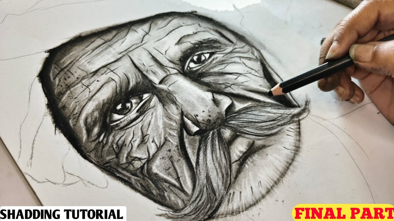 Basics Of Portrait Drawing For Beginners / Free Hand Portrait Drawing ...