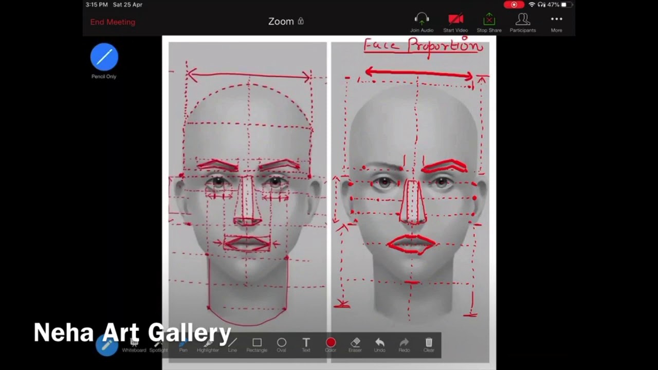 How To Draw Step By Step Face Proportion - YouTube