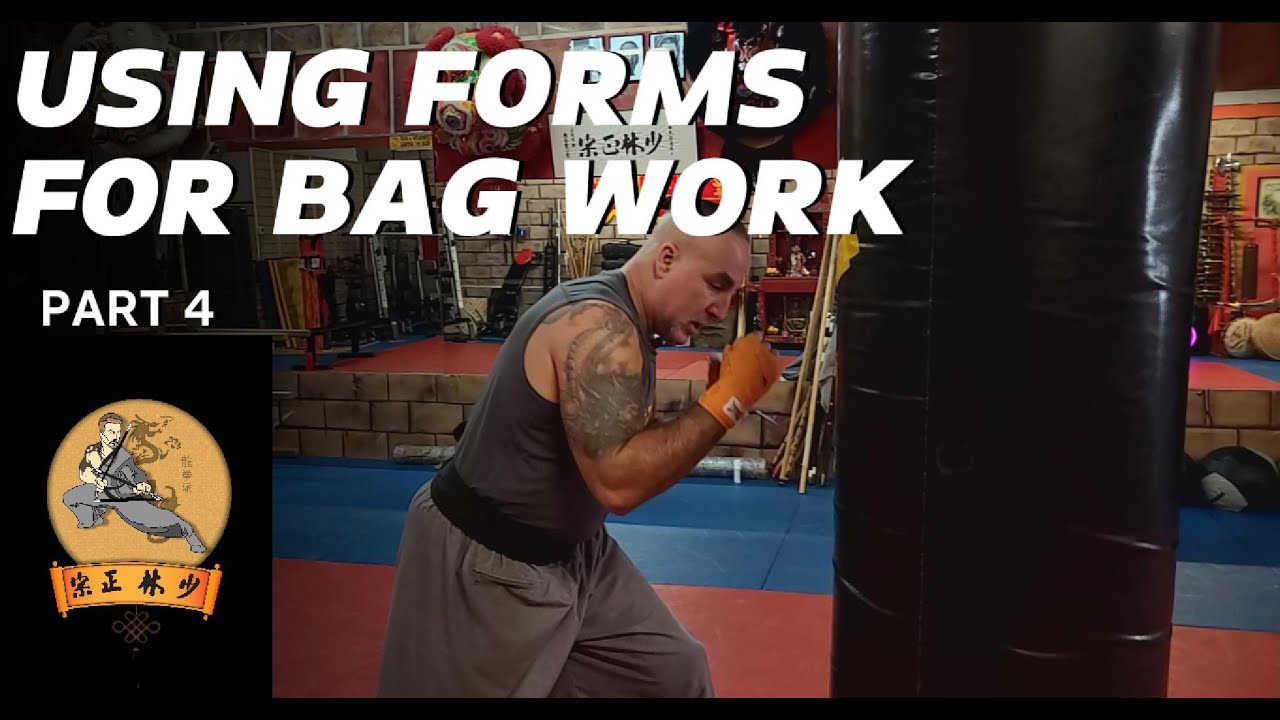 Shaolin Bag work Part 4 | Form Meets Function in Kung Fu Striking - YouTube