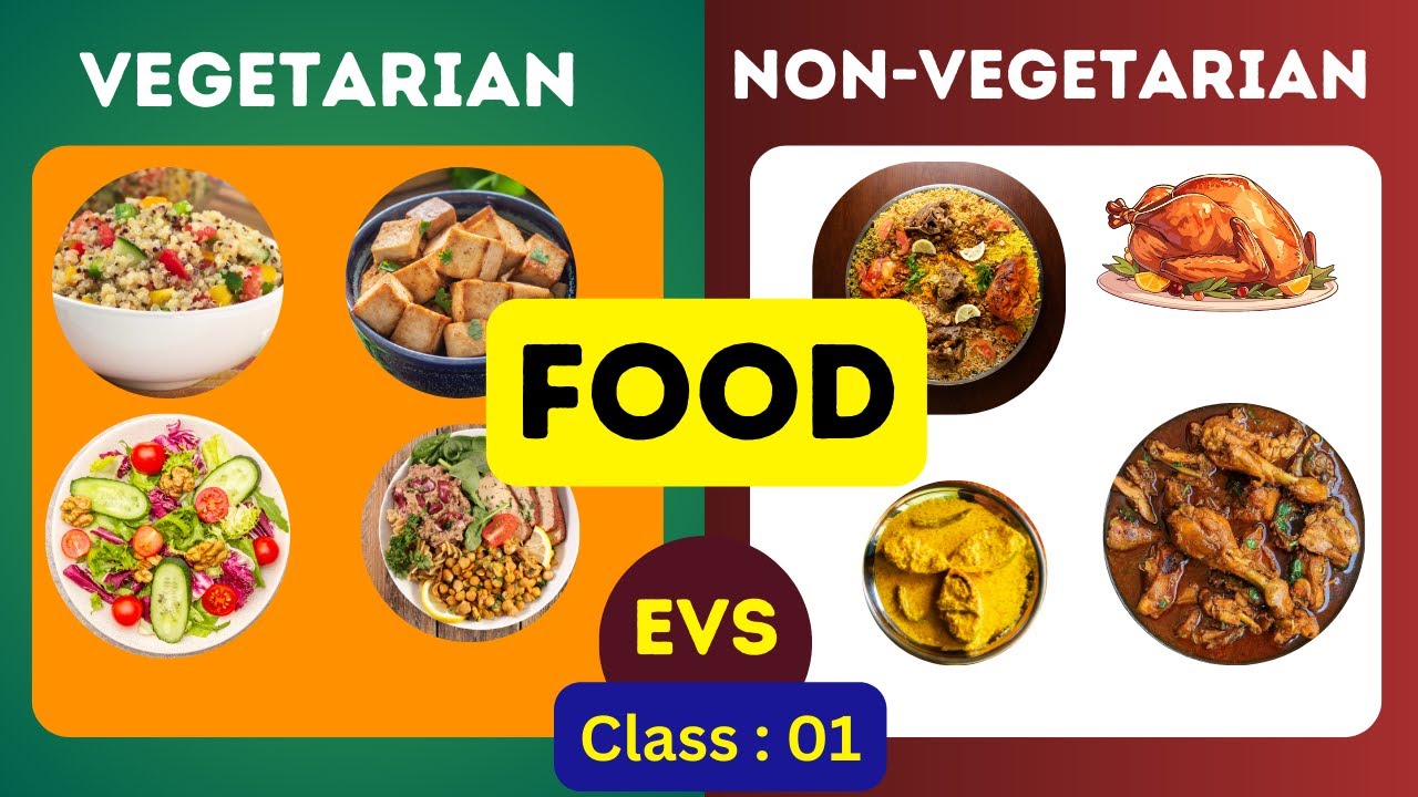 Exploring Food | Fun and Educational Video for Class 1 (EVS) Kids - YouTube