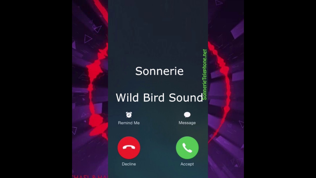 Télécharger sonnerie Wild Bird Sound pour telephone - SonnerieTelephone ...