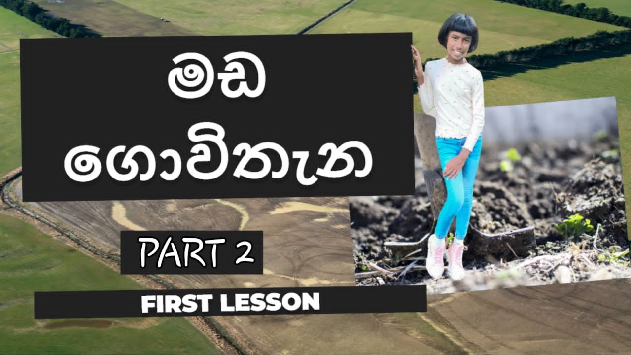 Grade 7 HISTORY First lesson part2 (අපෙ පැරණි ජන ජීවිතය) - YouTube