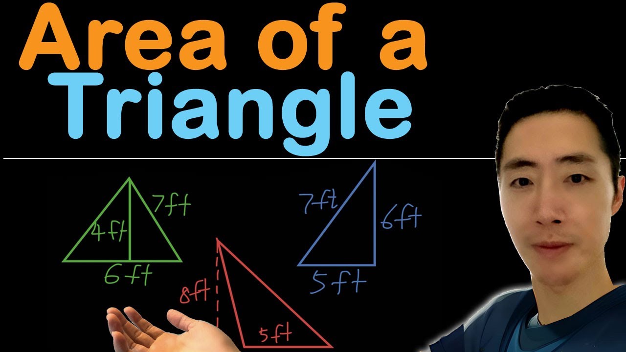 How to Find the Area of a Triangle (Step by Step) - YouTube