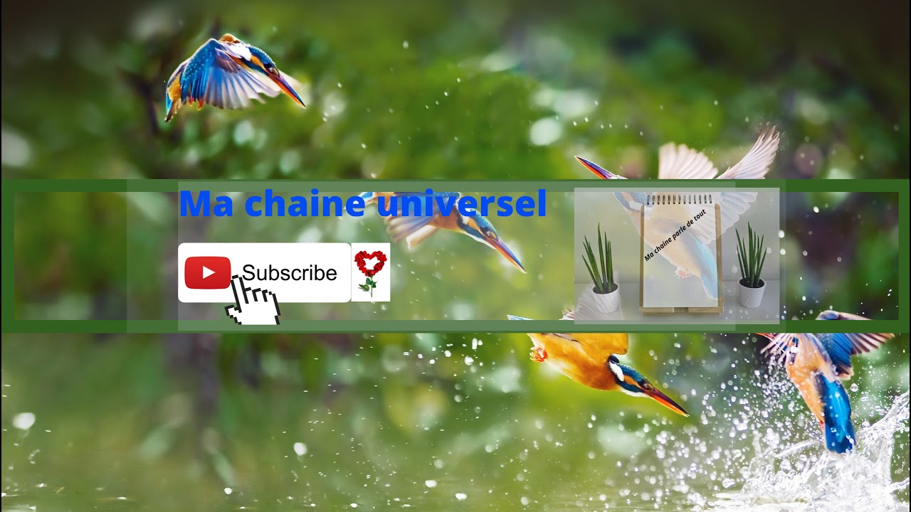 Diffusion en direct de universel - YouTube