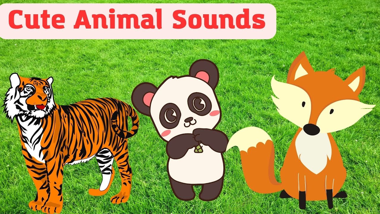 Cute Little Farm Animal Sounds - Alligator, Anteater, Chinchilla ...