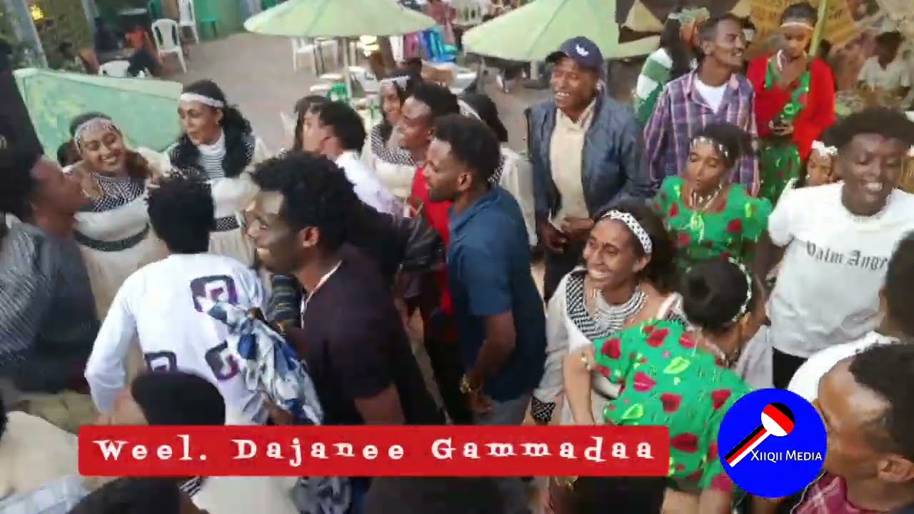 Sona Takele - SHARAREE KOO _ New Oromo Music (Official Video 2025 ...