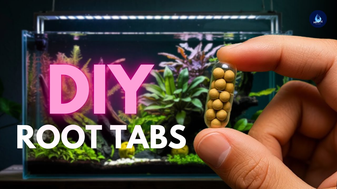 How to Make DIY Root Tabs for Your Planted Aquarium Boost YOUR Plant ...
