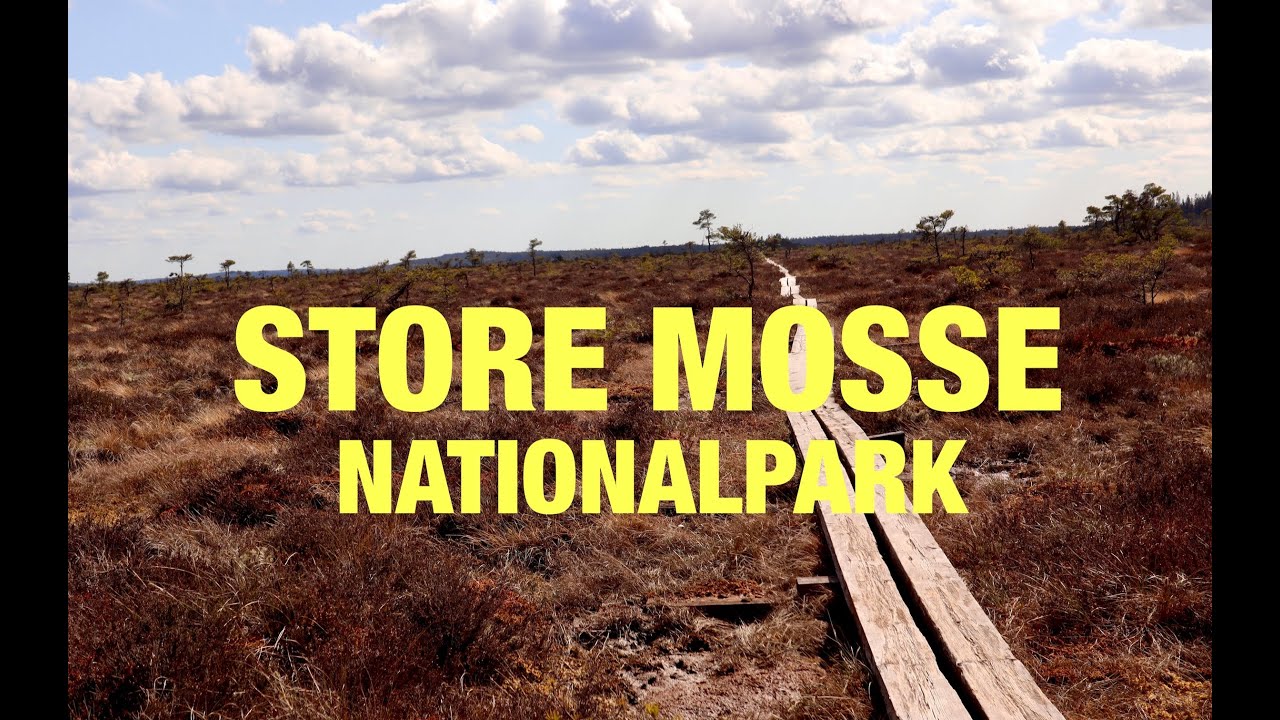 STORE MOSSE NATIONALPARK - YouTube