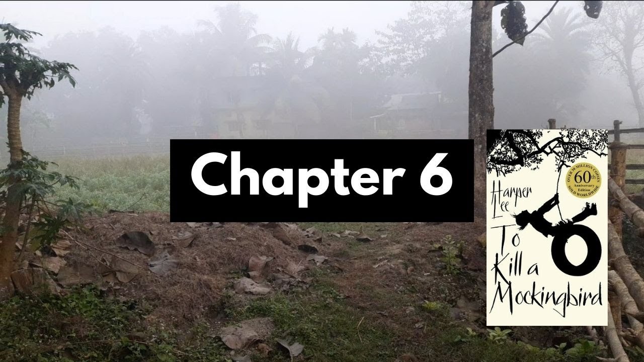 ASMR reading of "To Kill A Mockingbird Chapter 6" - YouTube
