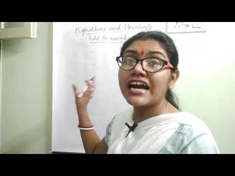 Chapter 3 - Algorithms and Flowcharts of Class 8 Part-2 - YouTube