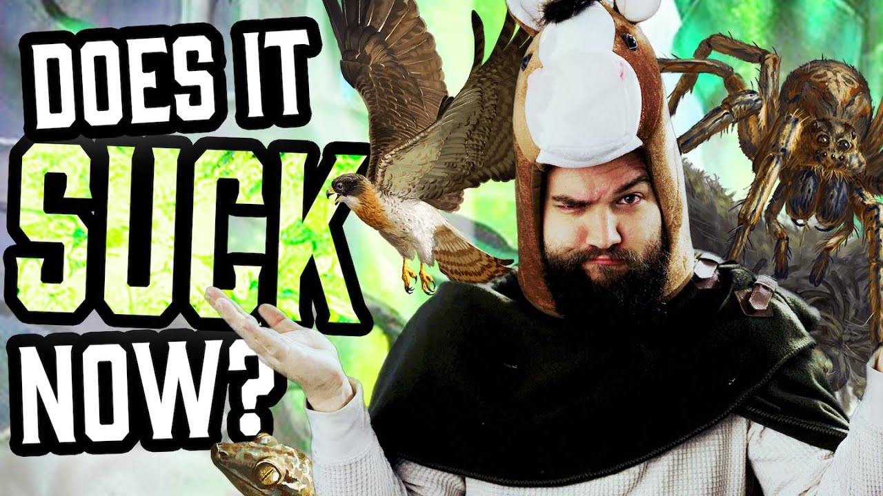 Wild Shapes EVERY Druid Should Learn - YouTube