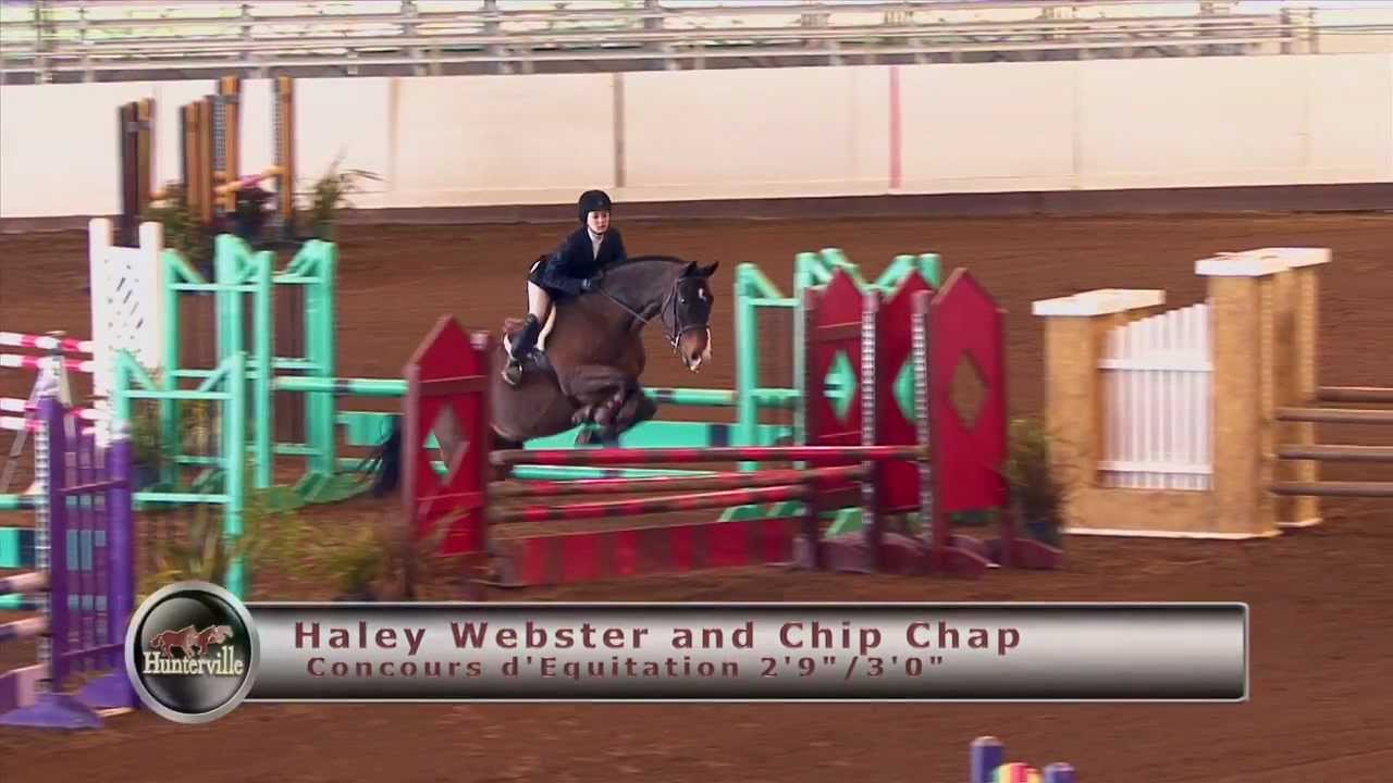Haley Webster - NWC Concours d'Equitation Champion - YouTube