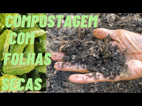 Compostagem com folhas secas /maneira simples - YouTube
