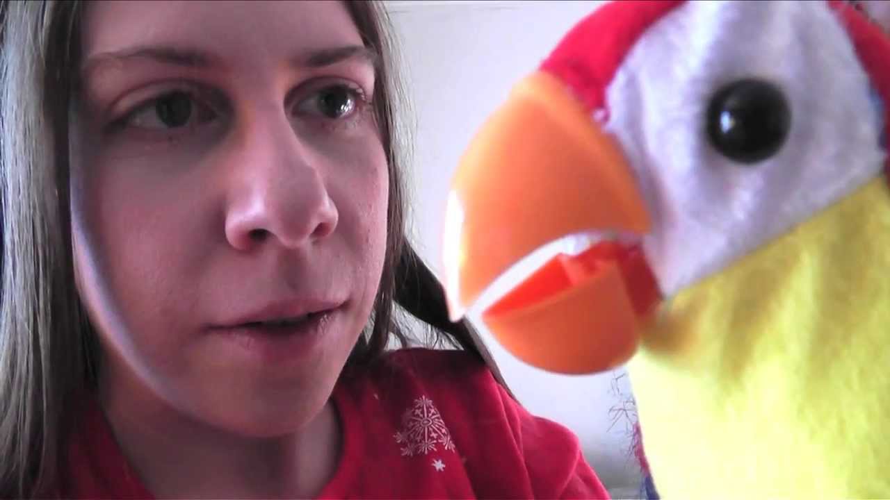 Pete The Repeat Parrot - YouTube