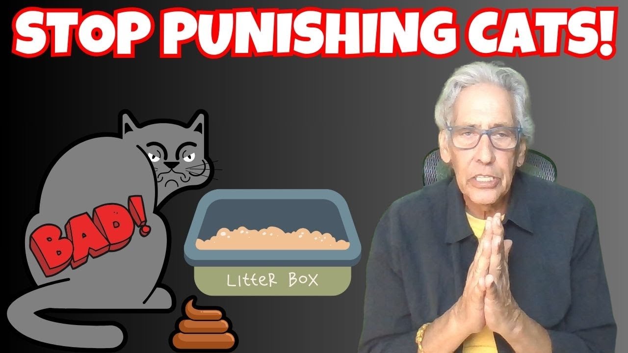 Pet Behavior EXPERT Shares Top Problem Solving Techniques - YouTube