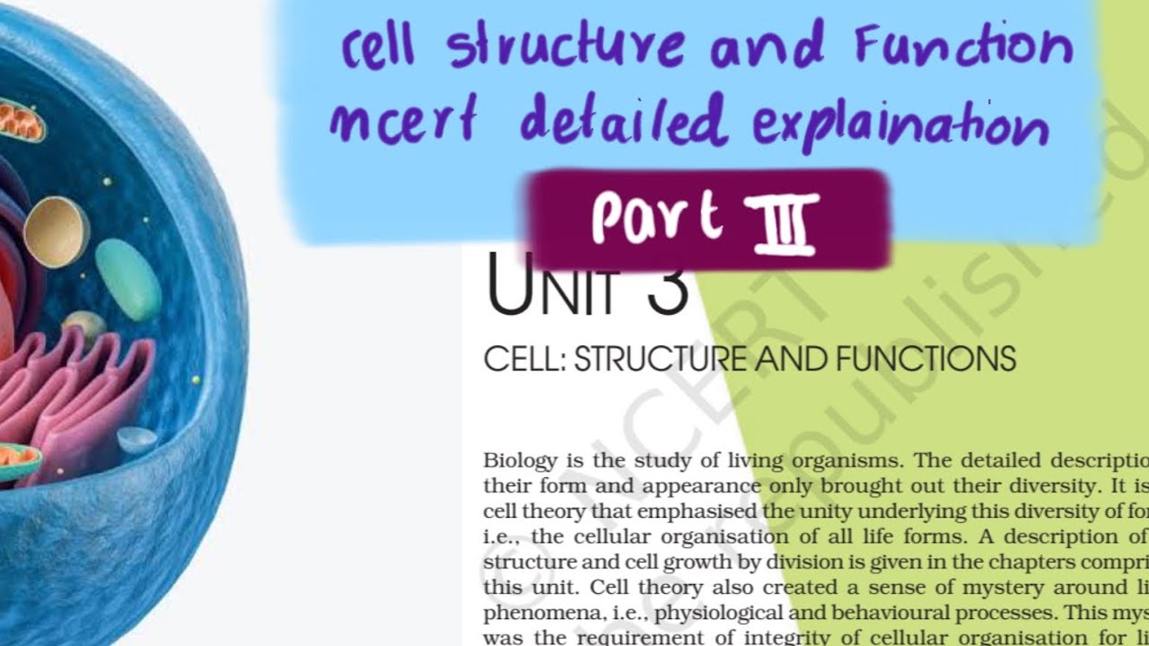cell structure and function full NCERT explanation part 3 - YouTube