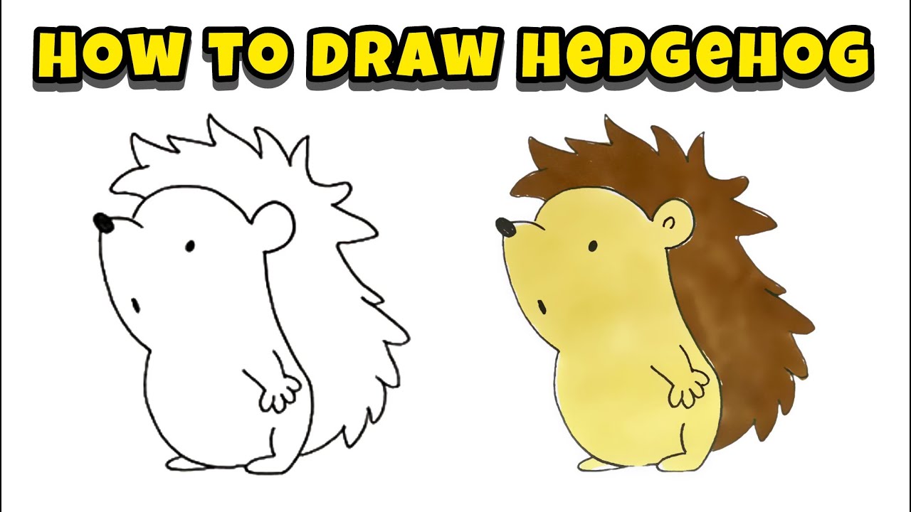 How to Draw Cute Hedgehog – Adorable and Enjoyable Drawing Practice for ...