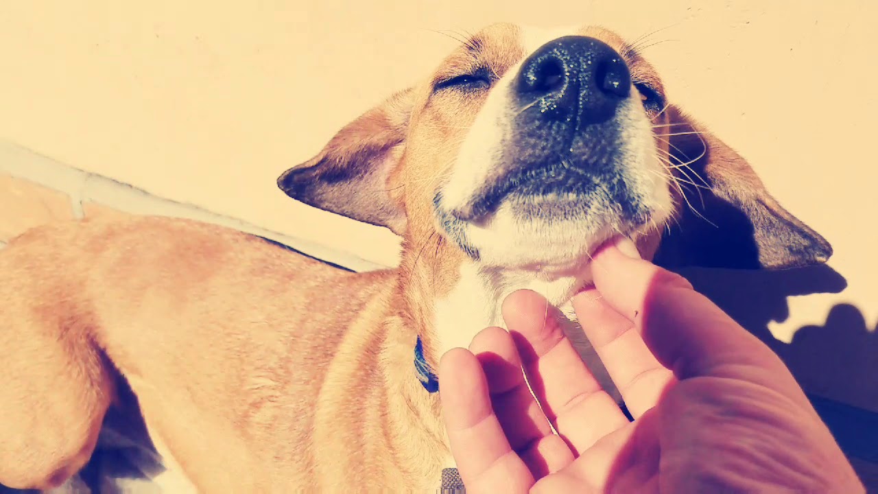 The Marine Layer- "Twenty First Century Outcast Boy" (Lyric Video ...