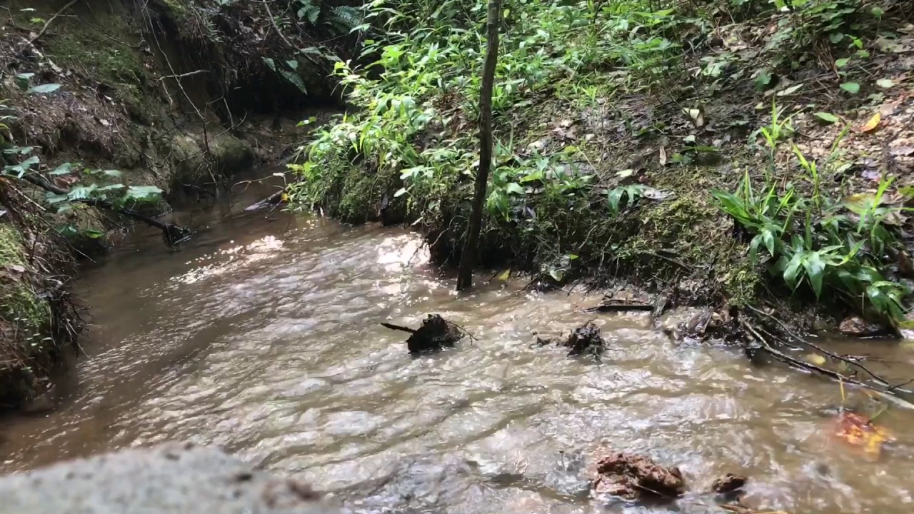 Building a Mini-Dam - YouTube